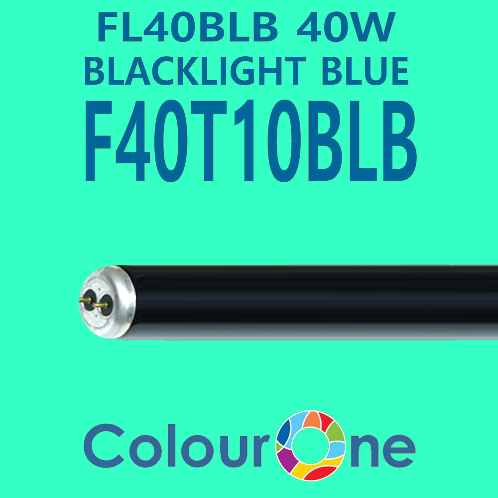 램프코리아 베스트이즈