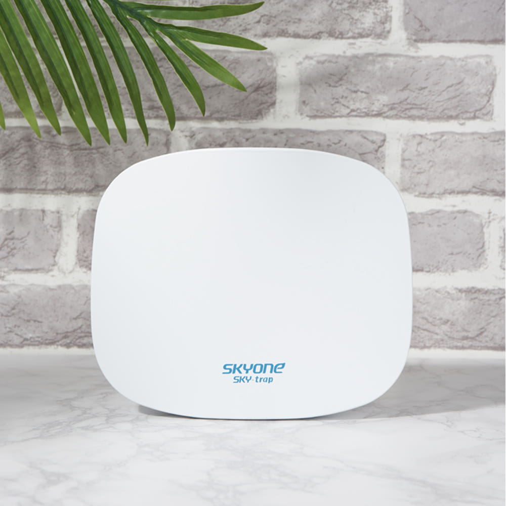 램프코리아 베스트이즈